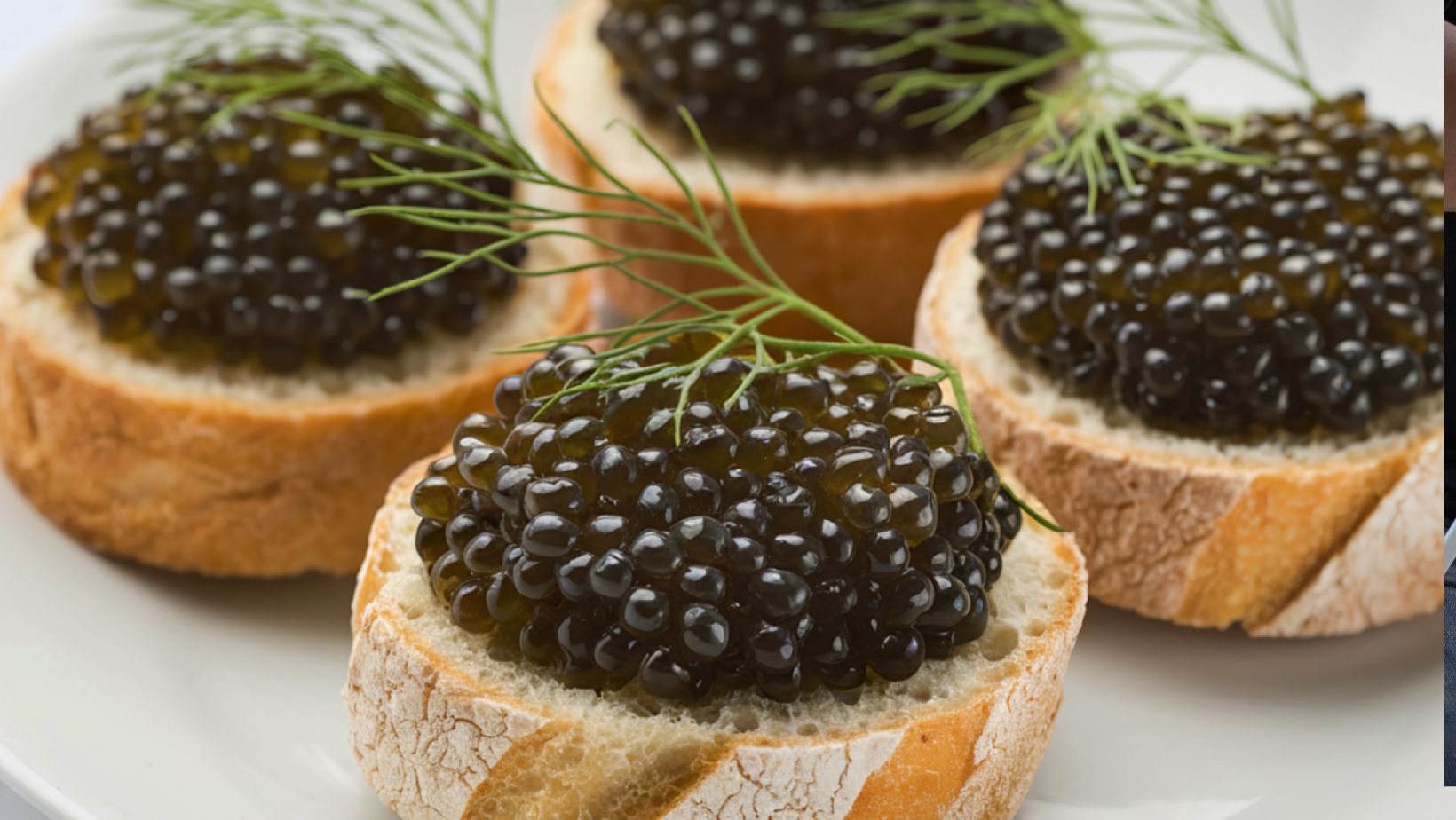 Premium Caviar in the USA: Taste, Quality, and Value